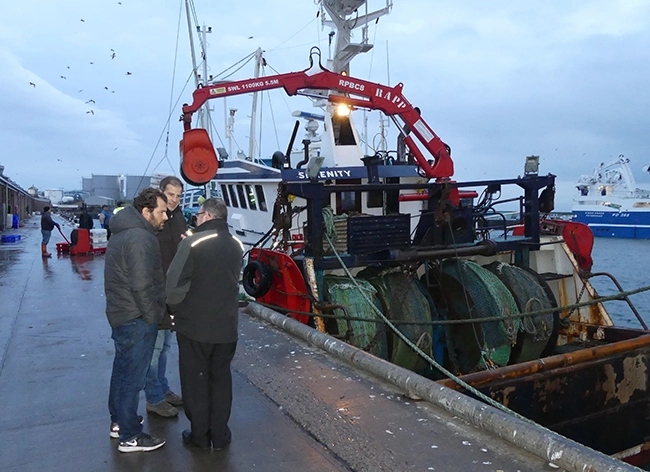Peterhead Cod: Last Wild Hunters - Randall & Aubin